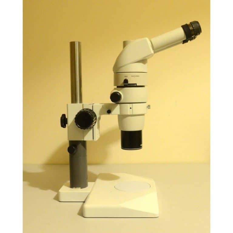 Nikon SMZ 645 Zoom Stereomicroscope - sonoransurplus.com